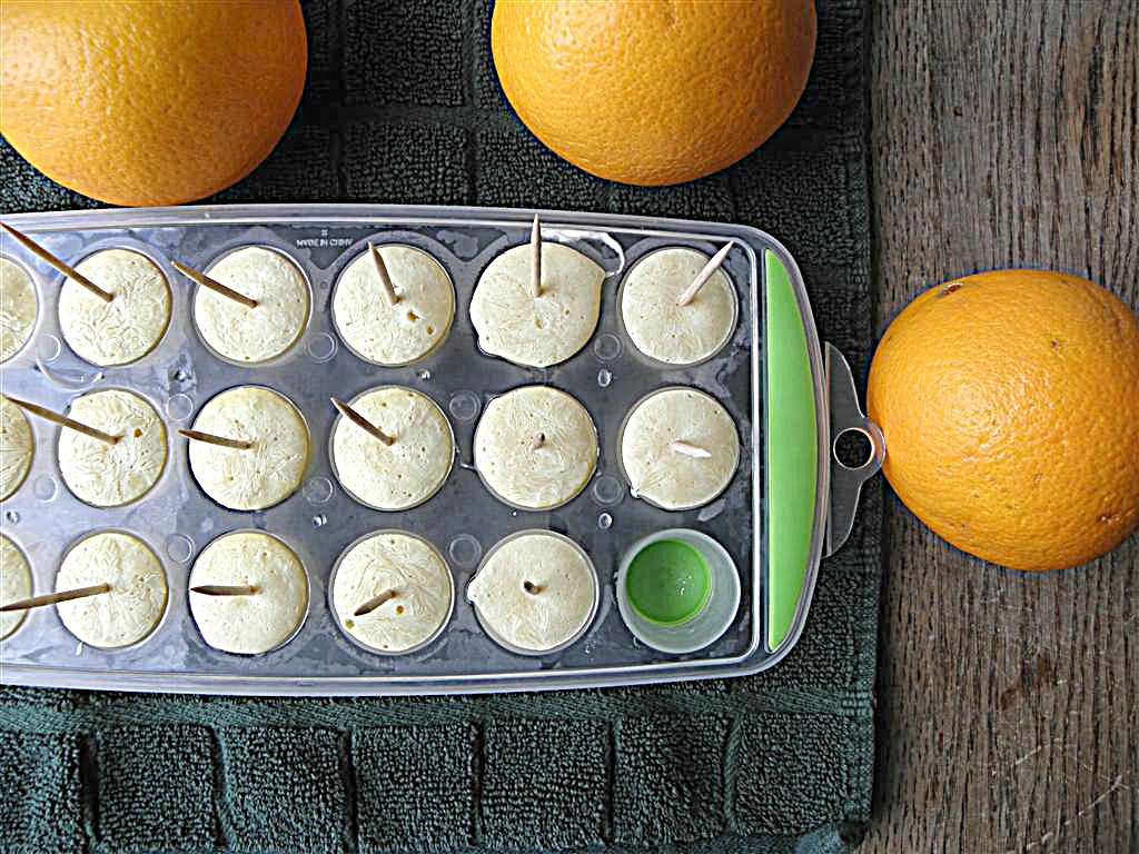 Orange Vanilla Frozen Yogurt Mini Pops Orange Vanilla Frozen Yogurt Mini Pops