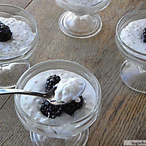 Homemade Tapioca Pudding [Sugar & Gluten Free with Dairy Free Option ...