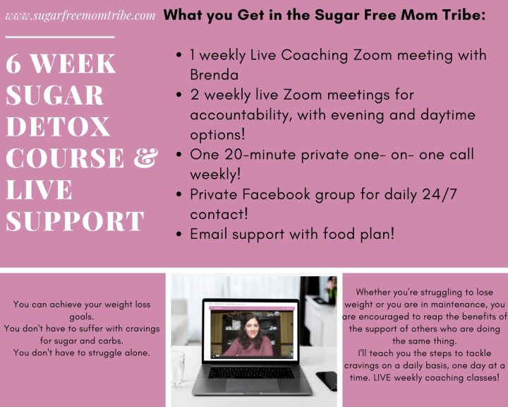 Courses - Sugar-Free Mom