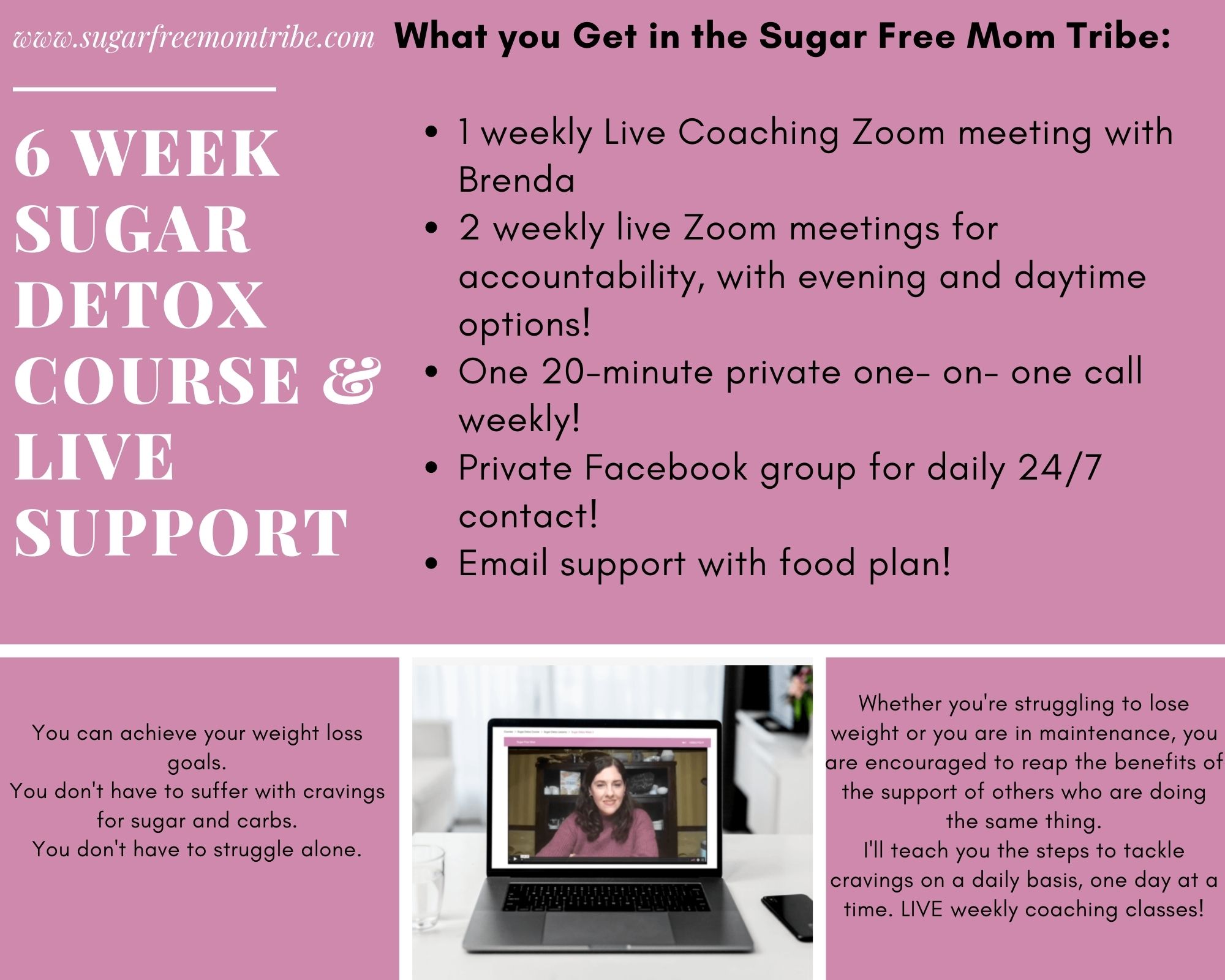 Courses - Sugar-Free Mom