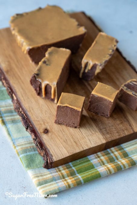 Keto Chocolate Peanut Butter Cottage Cheese Fudge - Sugar-Free Mom