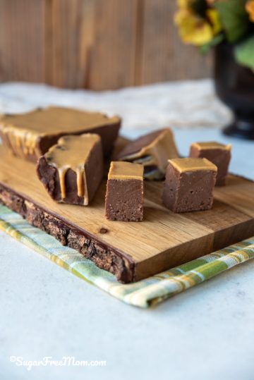 Keto Chocolate Peanut Butter Cottage Cheese Fudge - Sugar-Free Mom